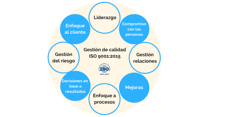 Cómo aplicar la norma ISO: Un BPM te ayuda.